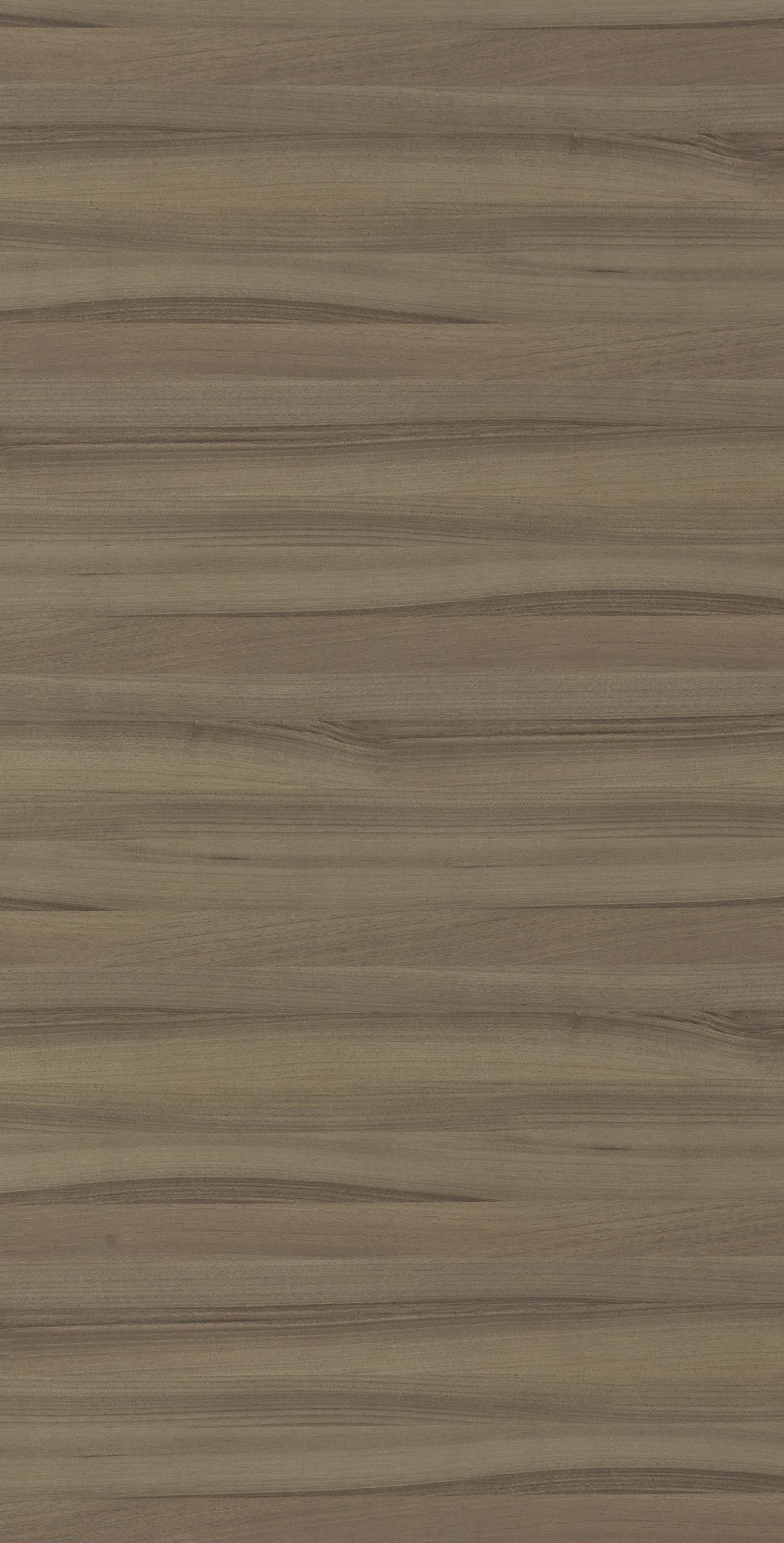 Horizontal Archives - EDL